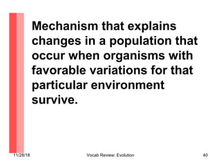 Evolution Vocabulary Flash Cards | PPT