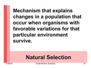 Evolution Vocabulary Flash Cards | PPT