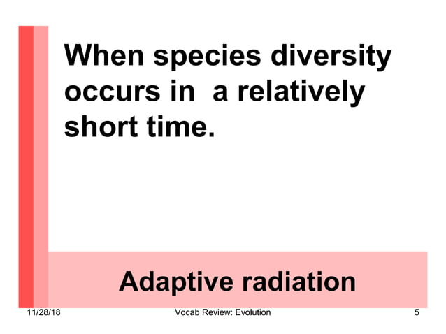 Evolution Vocabulary Flash Cards | PPT