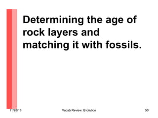 Evolution Vocabulary Flash Cards | PPT