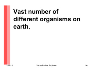 Evolution Vocabulary Flash Cards | PPT