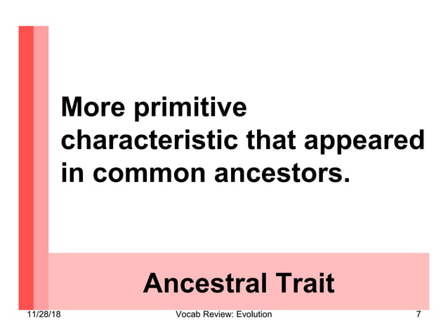 Evolution Vocabulary Flash Cards | PPT