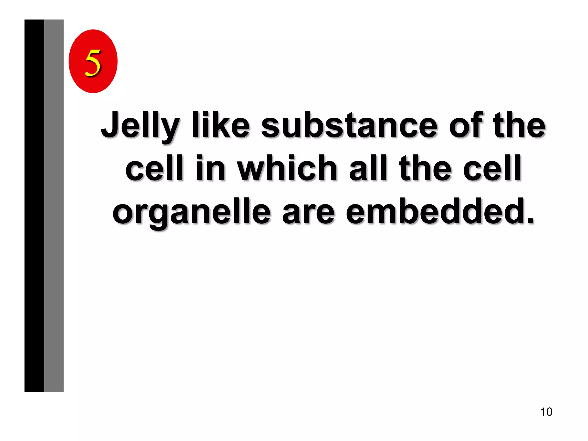 Cell Structure Vocab Review | PPT