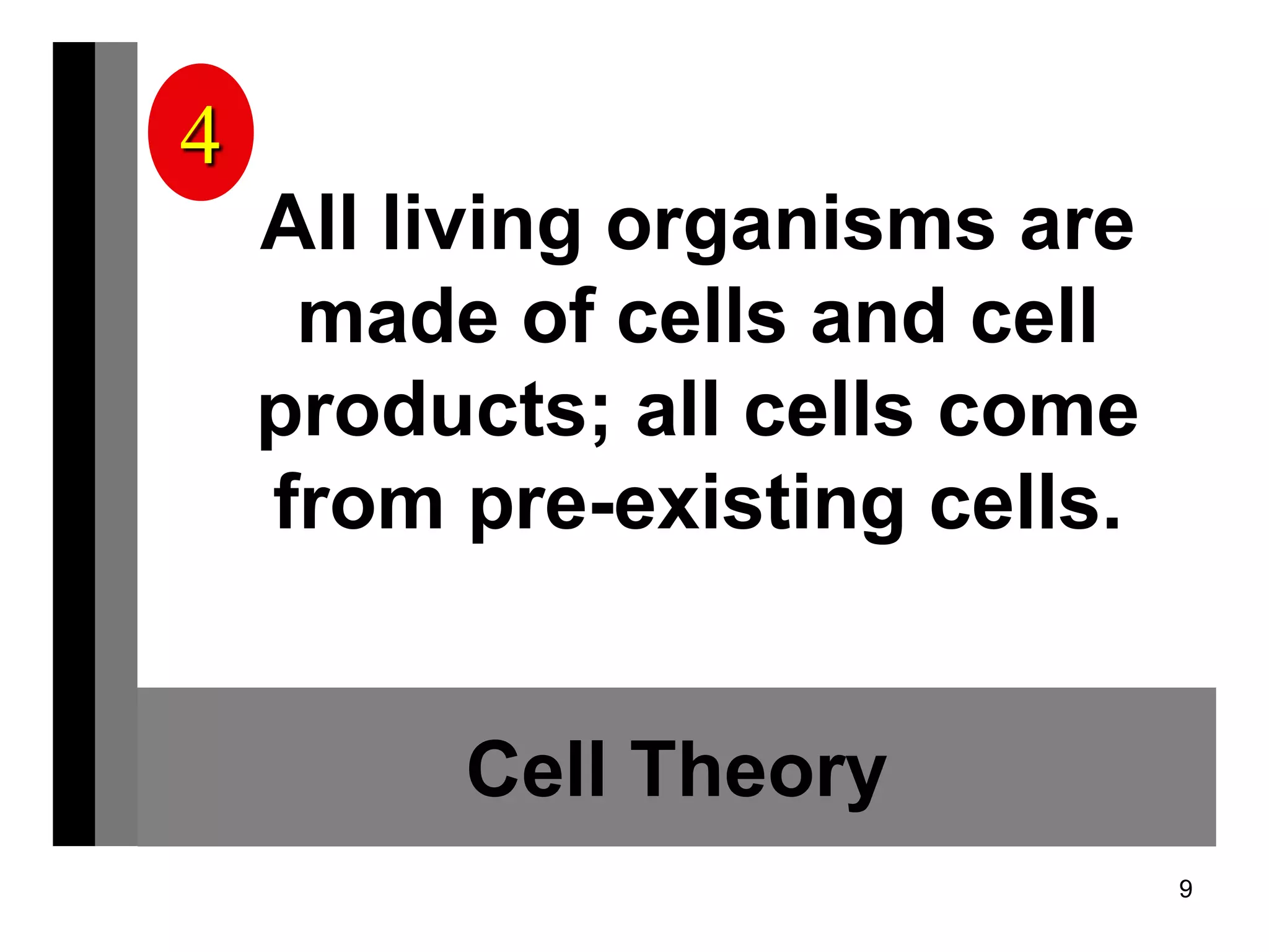 Cell Structure Vocab Review | PPT