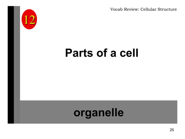 Cell Structure Vocab Review | PPT