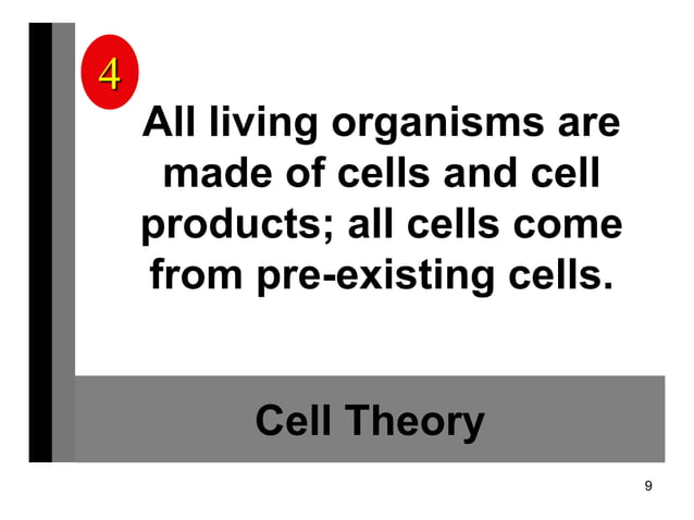 Cell Structure Vocab Review | PPT