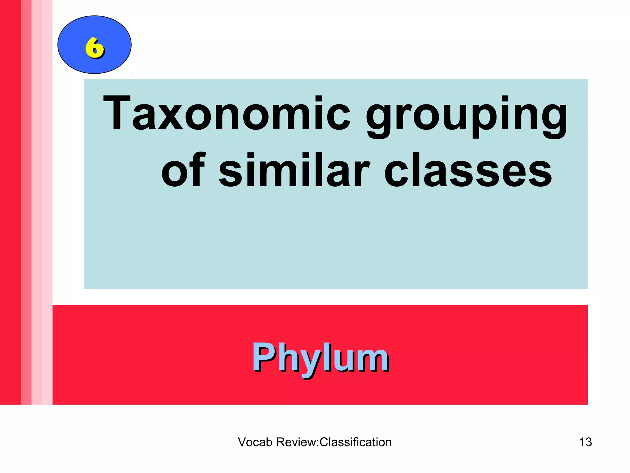 Vocabulary review Classification / Taxonomy | PPT