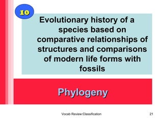 Vocabulary review Classification / Taxonomy | PPT