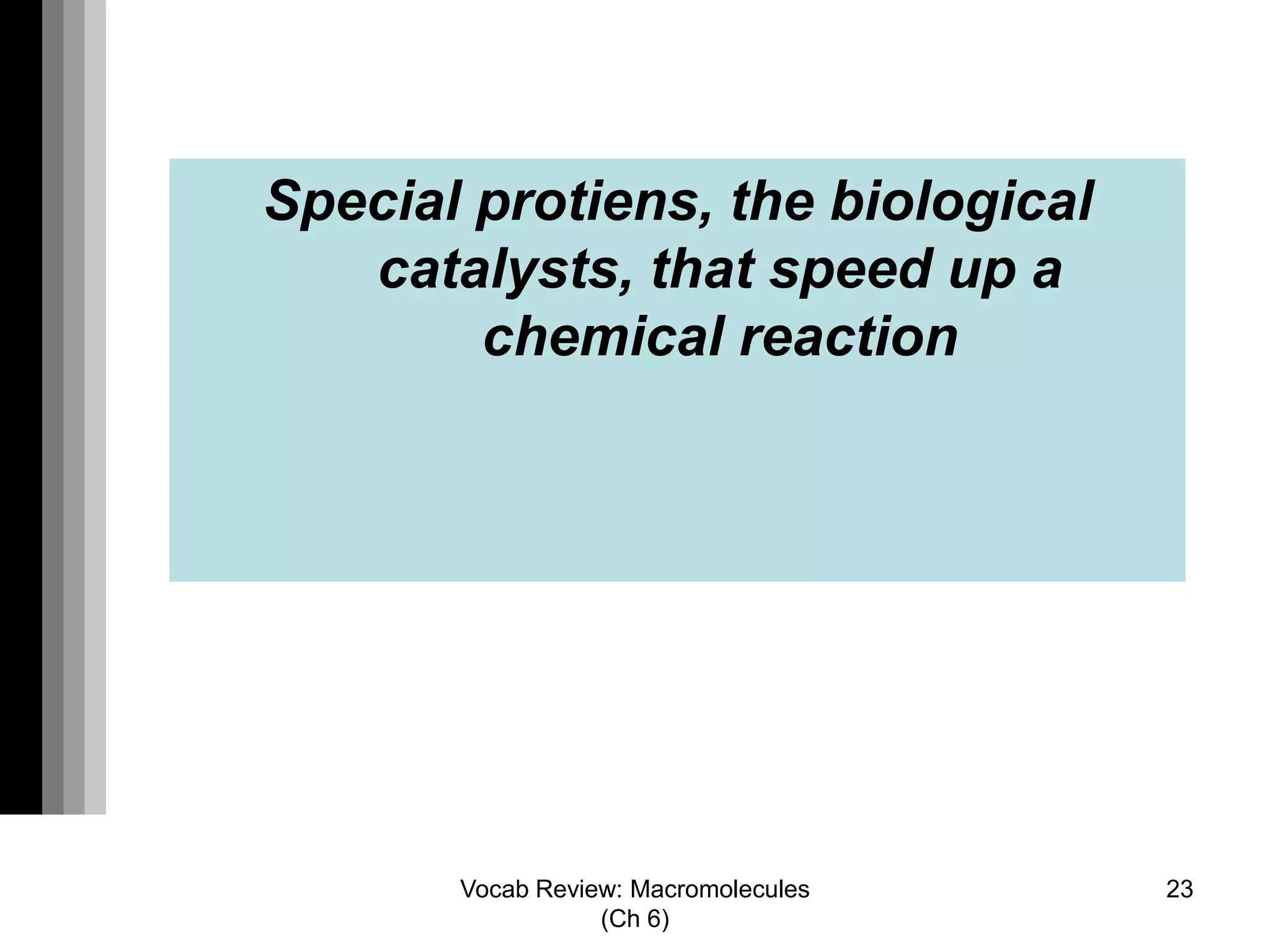 Bppt vocab review macromolecules ss | PPT