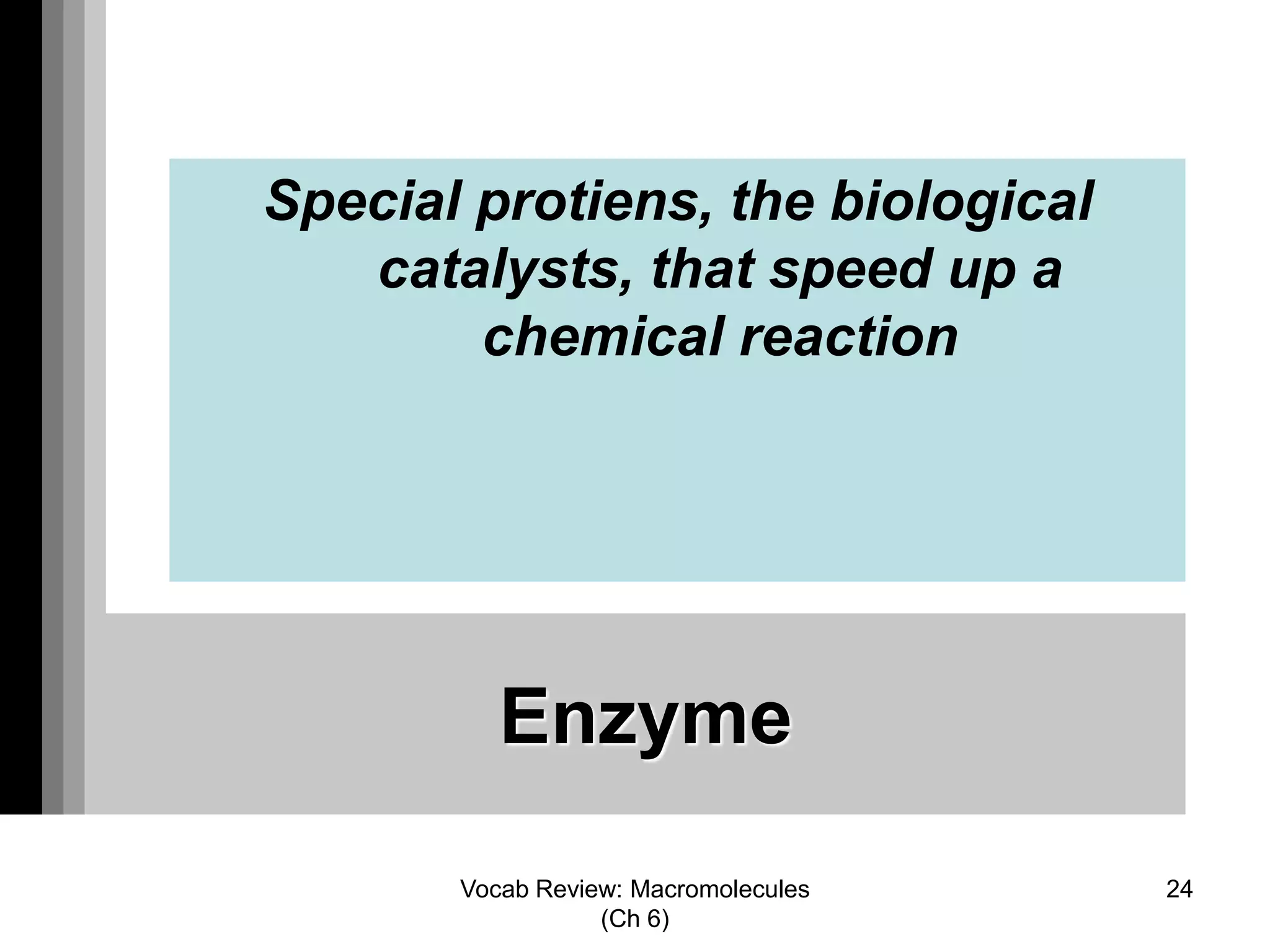 Bppt vocab review macromolecules ss | PPT
