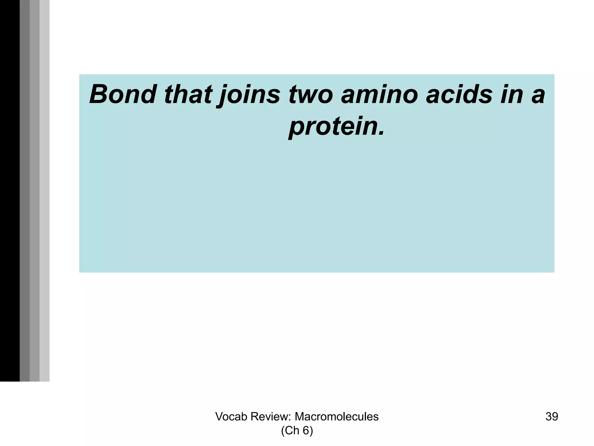 Bppt vocab review macromolecules ss | PPT