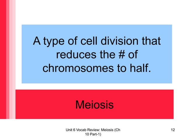 Meiosis Vocab Review | PPT