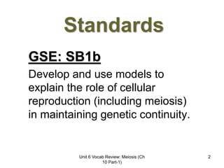 Meiosis Vocab Review | PPT