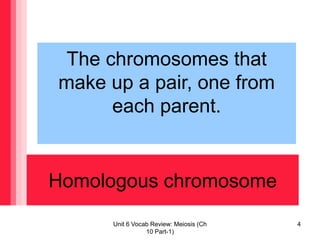 Meiosis Vocab Review | PPT