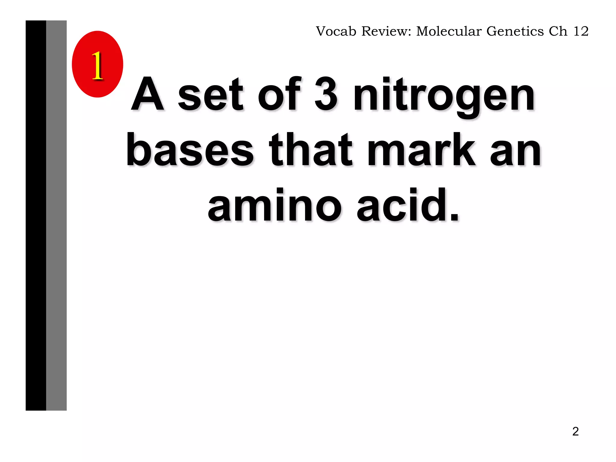 Molecular genetics Vocab | PPT