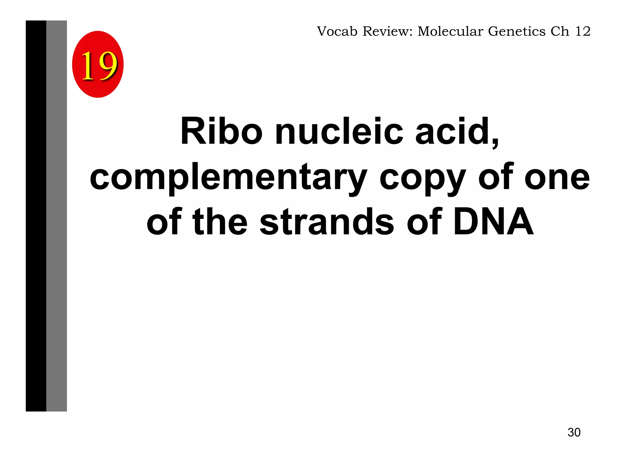 Molecular genetics Vocab | PPT