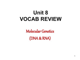 Molecular genetics Vocab | PPT