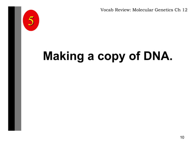 Molecular genetics Vocab | PPT