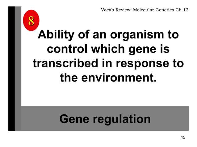 Molecular genetics Vocab | PPT