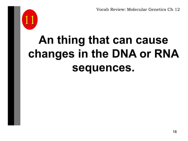 Molecular genetics Vocab | PPT