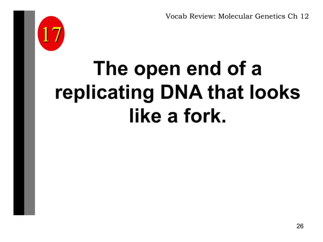 Molecular genetics Vocab | PPT