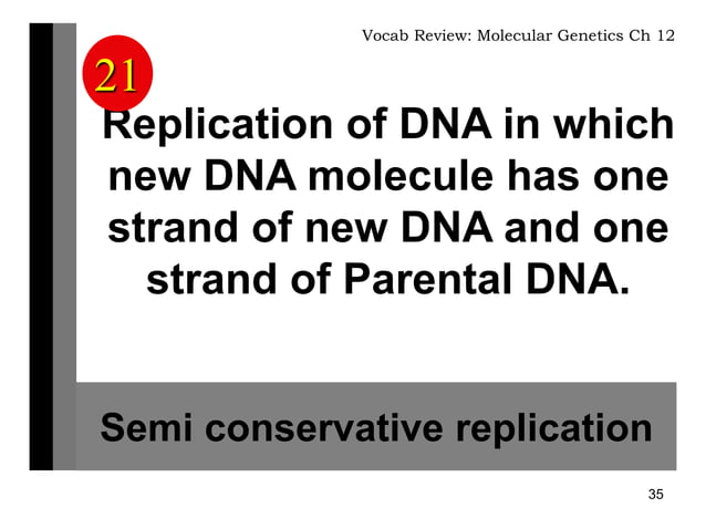 Molecular genetics Vocab | PPT
