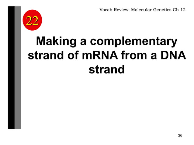 Molecular genetics Vocab | PPT