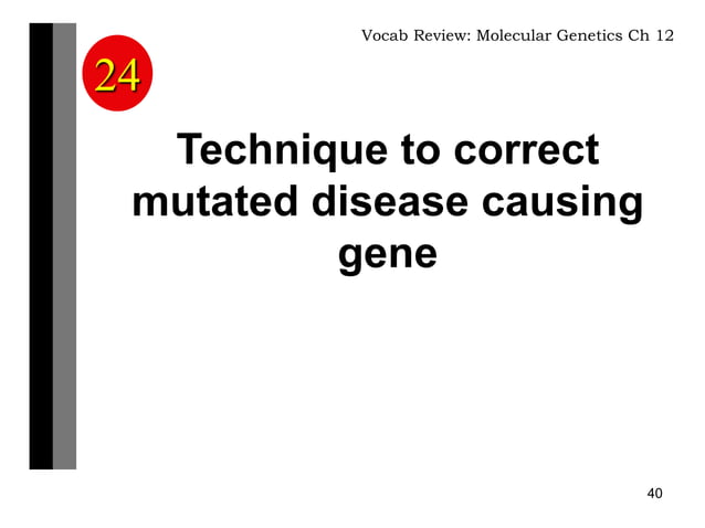 Molecular genetics Vocab | PPT
