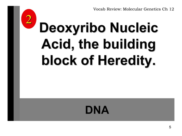 Molecular genetics Vocab | PPT