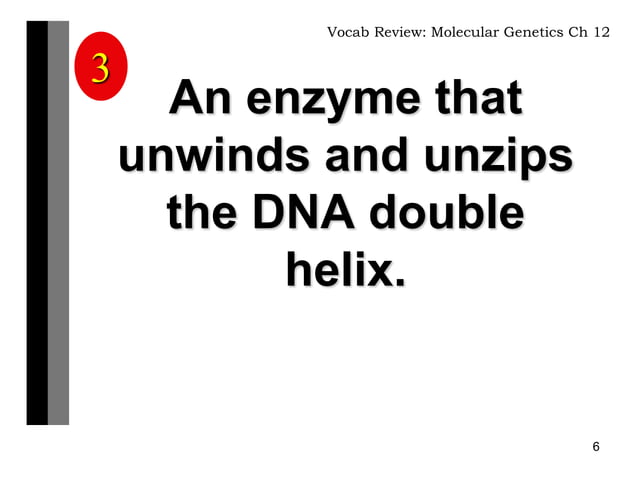 Molecular genetics Vocab | PPT