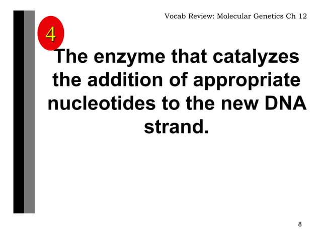 Molecular genetics Vocab | PPT