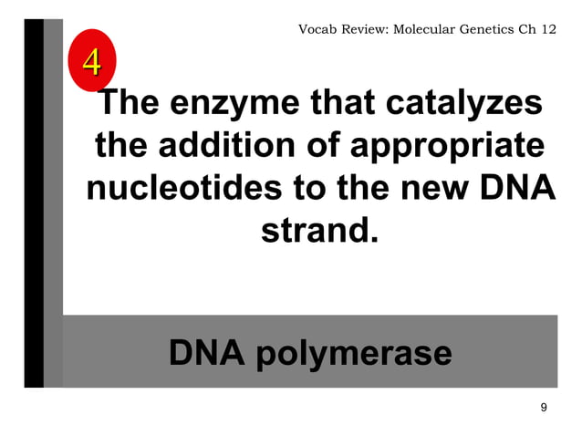 Molecular genetics Vocab | PPT