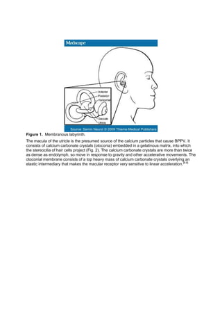 Bppv | PDF | Brain and Nervous System Disorders | Diseases and Conditions