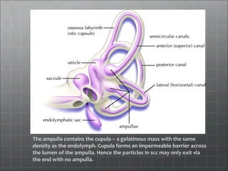 Bppv and particle repositioning maneuvers | PPT