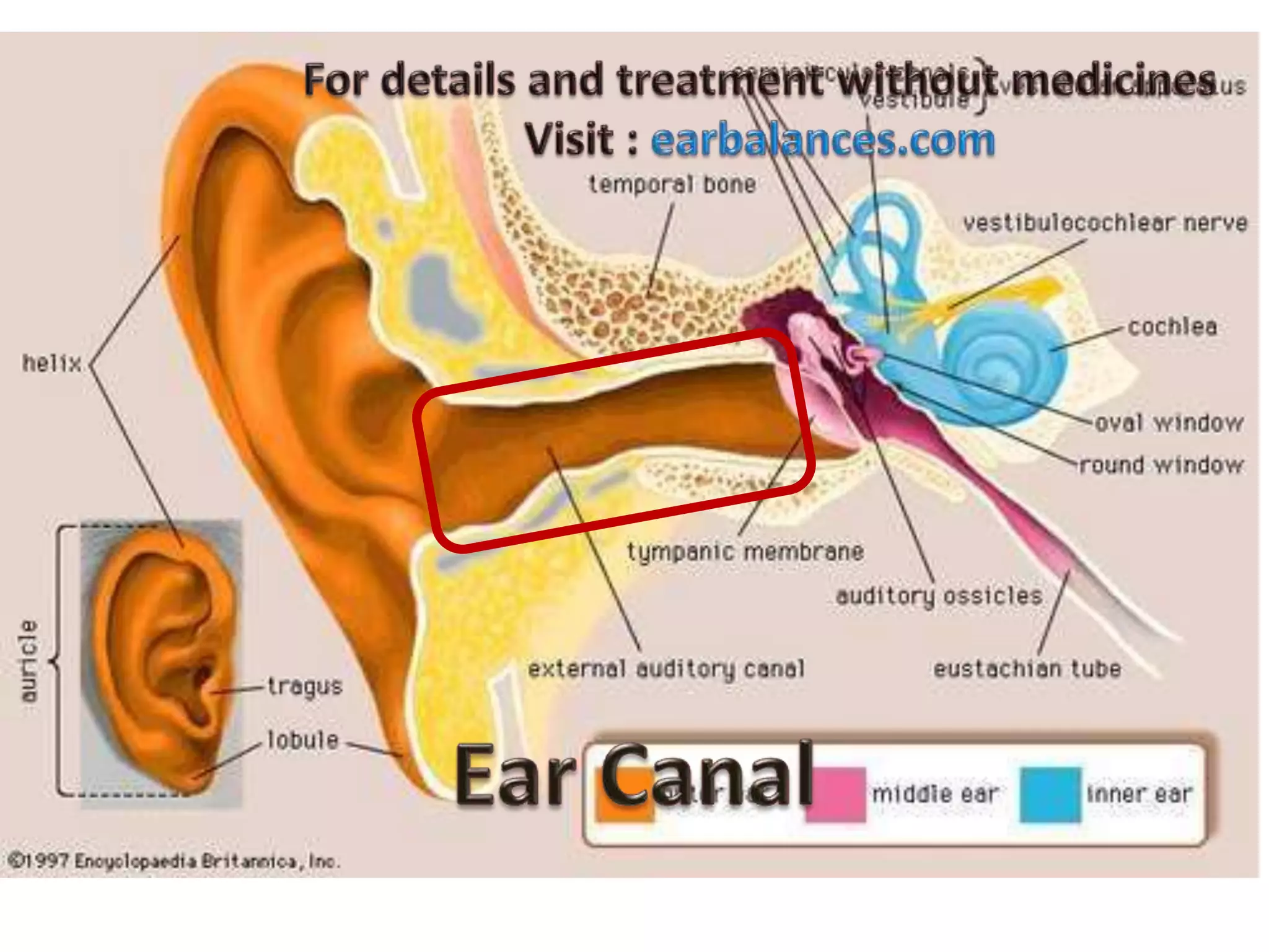 Ear balance (Bppv) explained and management without medicines. | PPT