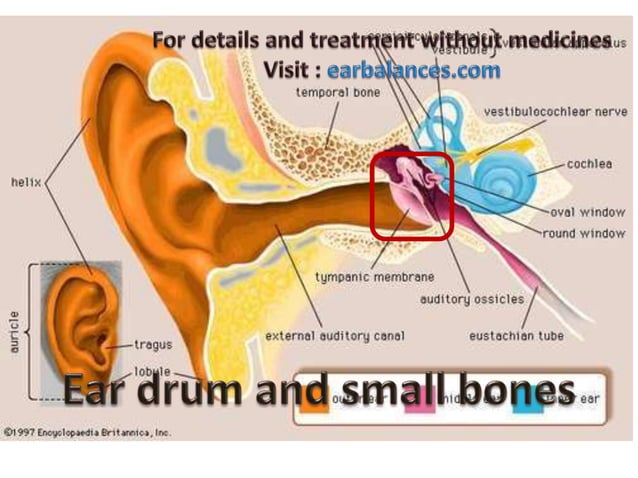 Ear balance (Bppv) explained and management without medicines. | PPT
