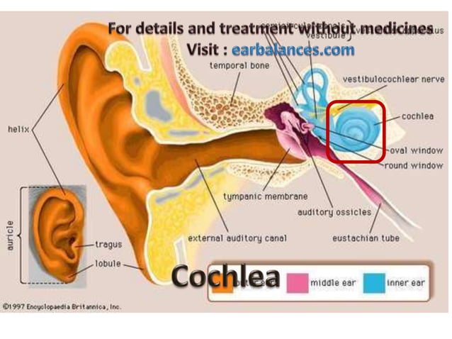 Ear balance (Bppv) explained and management without medicines.