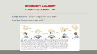 BPPV( Benign Paroxysmal Positional Vertigo) Concept | PPTX