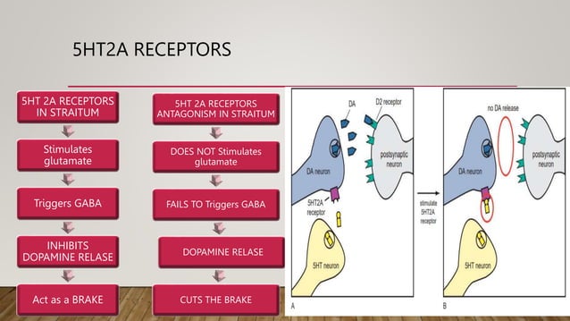 Biopsychosocial BPS model FINAL EDITED (4).pptx