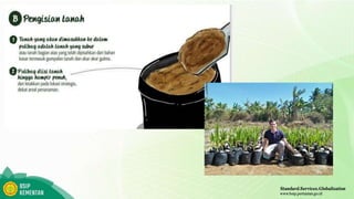 BPSI Palma _ Pelatihan budidaya ICARE_.pdf