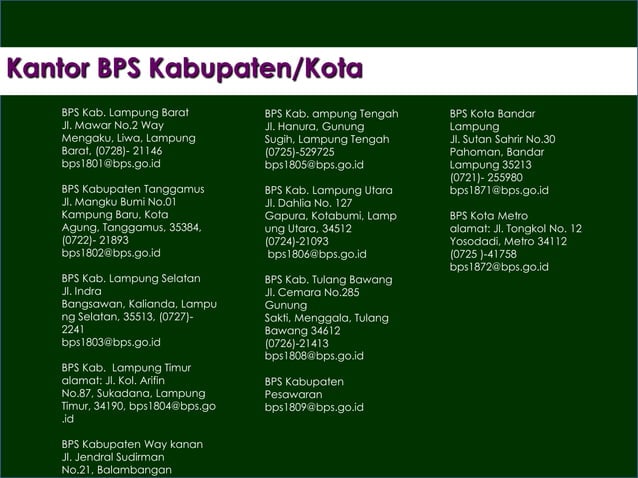 Company Profile of BPS PROV LAMPUNG | PPTX