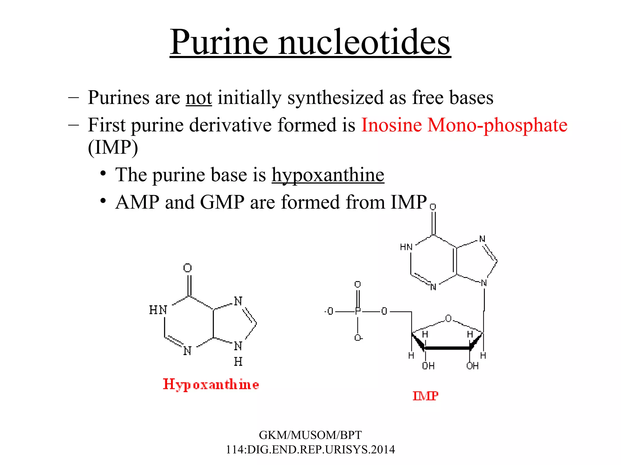 Bpt 114. purine and pyrimidine metabolism | PPT