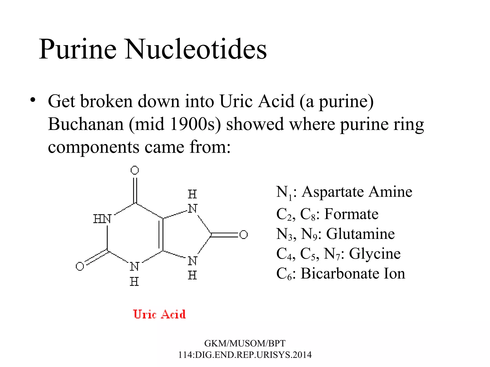 Bpt 114. purine and pyrimidine metabolism | PPT