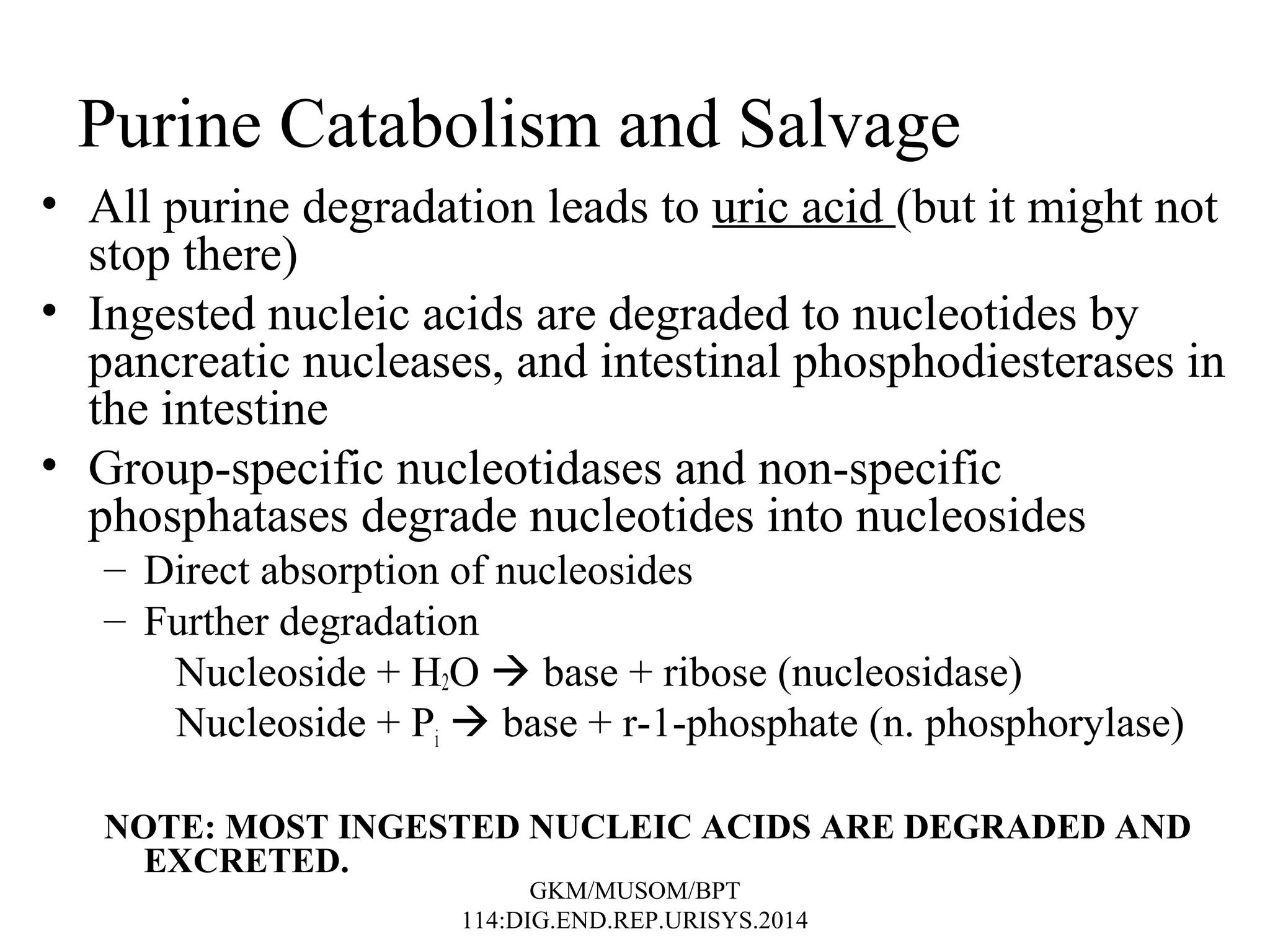 Bpt 114. purine and pyrimidine metabolism | PPT