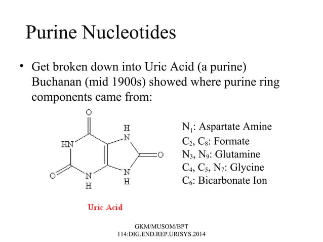 Bpt 114. purine and pyrimidine metabolism | PPT