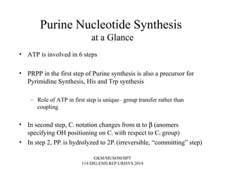 Bpt 114. purine and pyrimidine metabolism | PPT