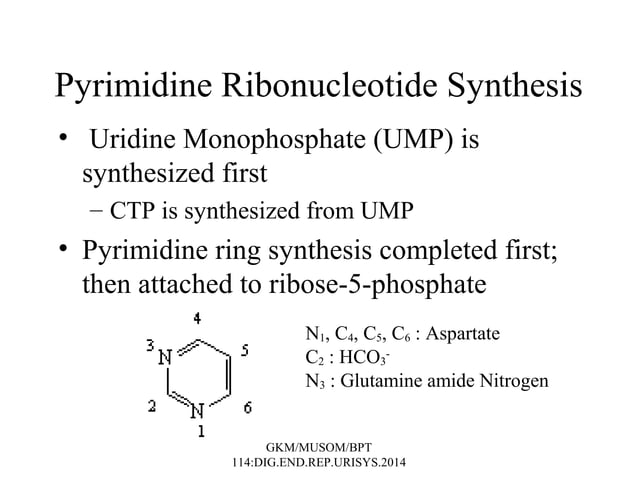 Bpt 114. purine and pyrimidine metabolism | PPT