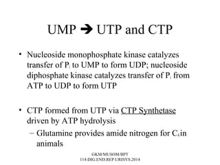Bpt 114. purine and pyrimidine metabolism | PPT