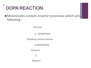 PIGMENT AND AMYLOID | PPT