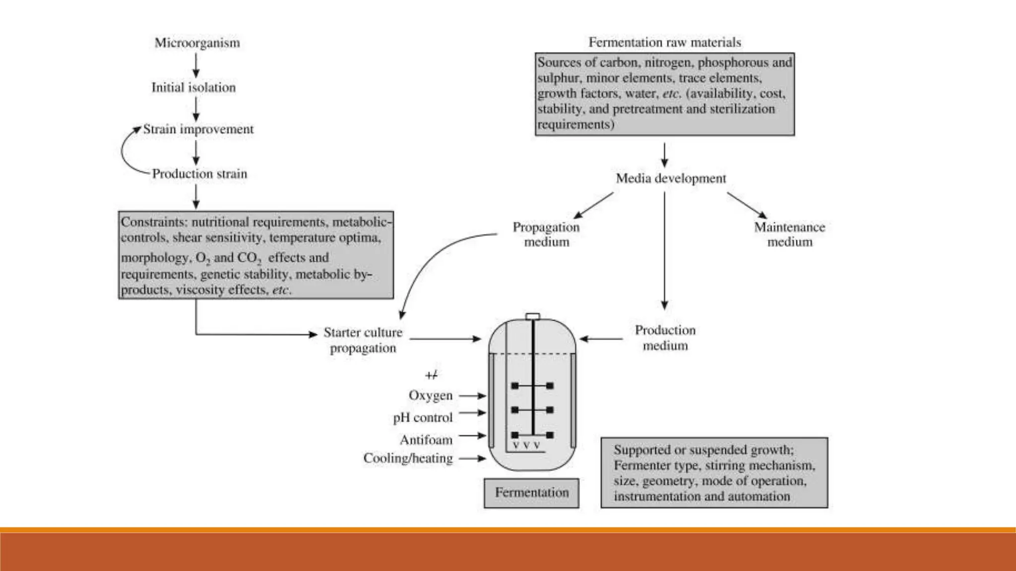 Bioprocess Technology | PPTX